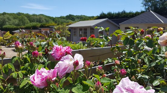 Silversprings Garden C