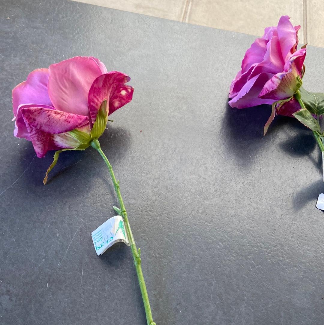 Lydia English Rose – Abbey Garden Buildings Ltd